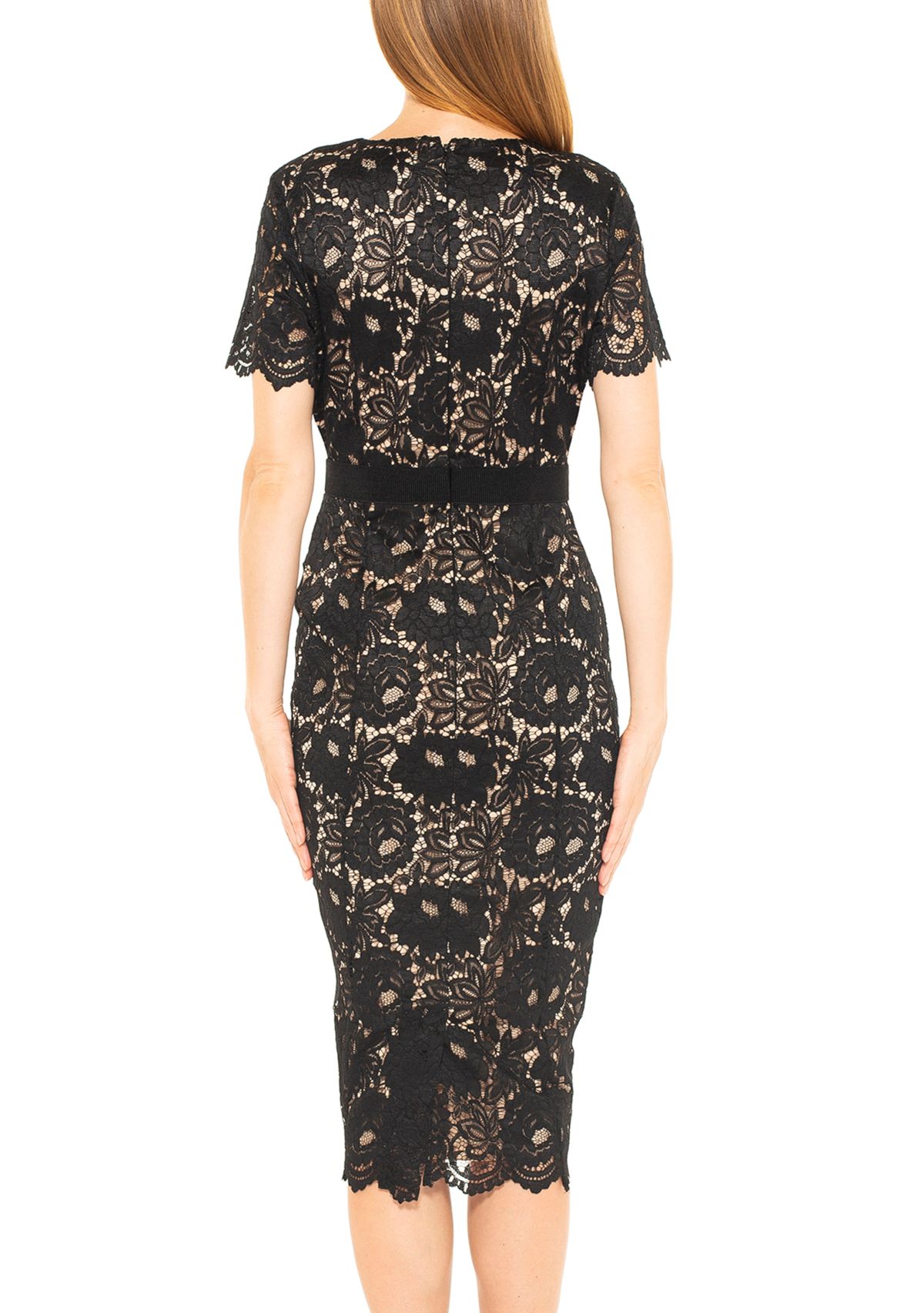 Alexia Admor Delora Lace Sheath | Belk