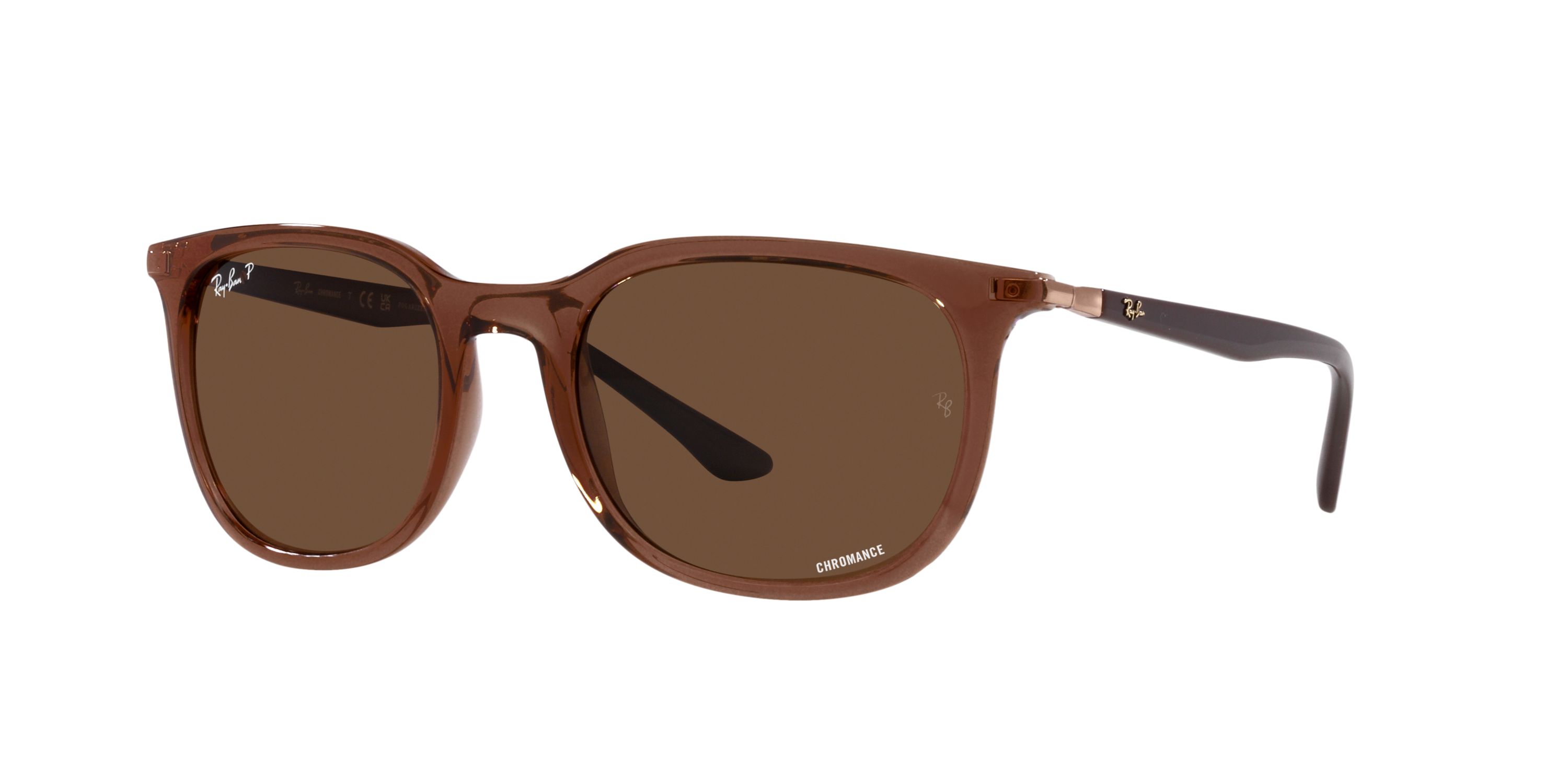 Ray-Ban RB4386 Polarized Sunglasses | Belk