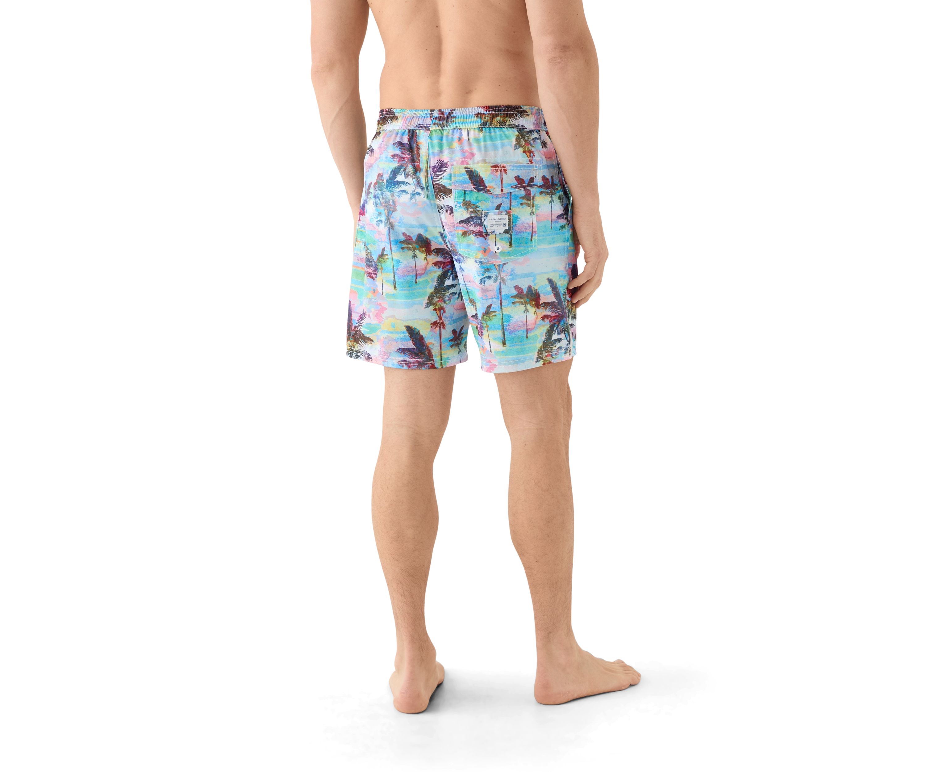 Ocean Current Rockford Volley Swim Trunks | Belk