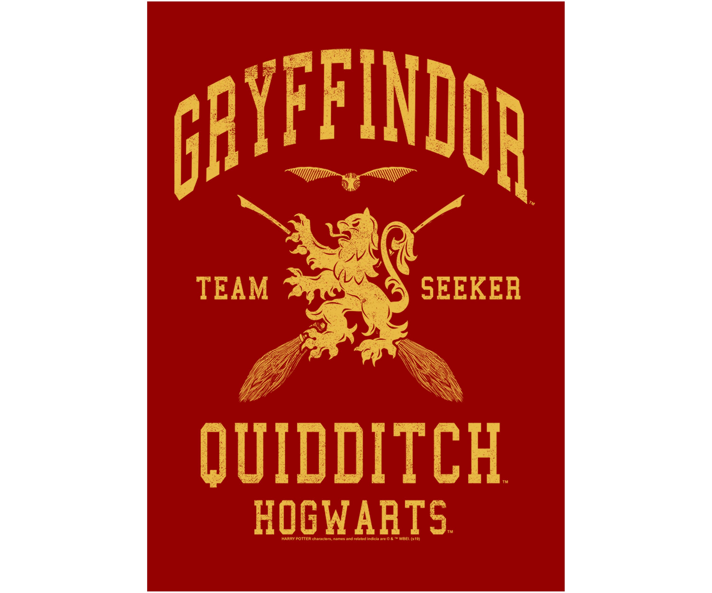 Harry Potter™ Harry Potter Gryffindor Quidditch Seeker Graphic T-Shirt ...