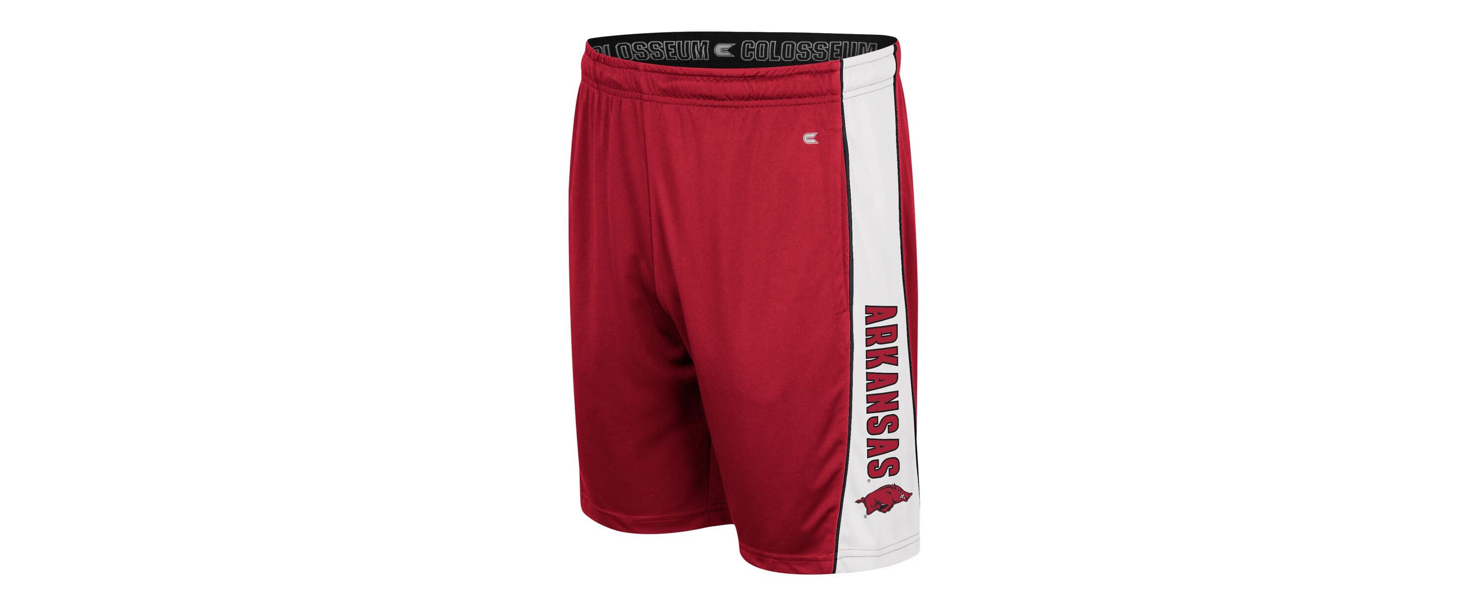 Colosseum NCAA Arkansas Razorbacks Panel Shorts | Belk
