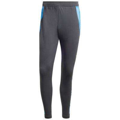 adidas Soccer National Teams Argentina National Team 2024 AEROREADY Training Pants | belk