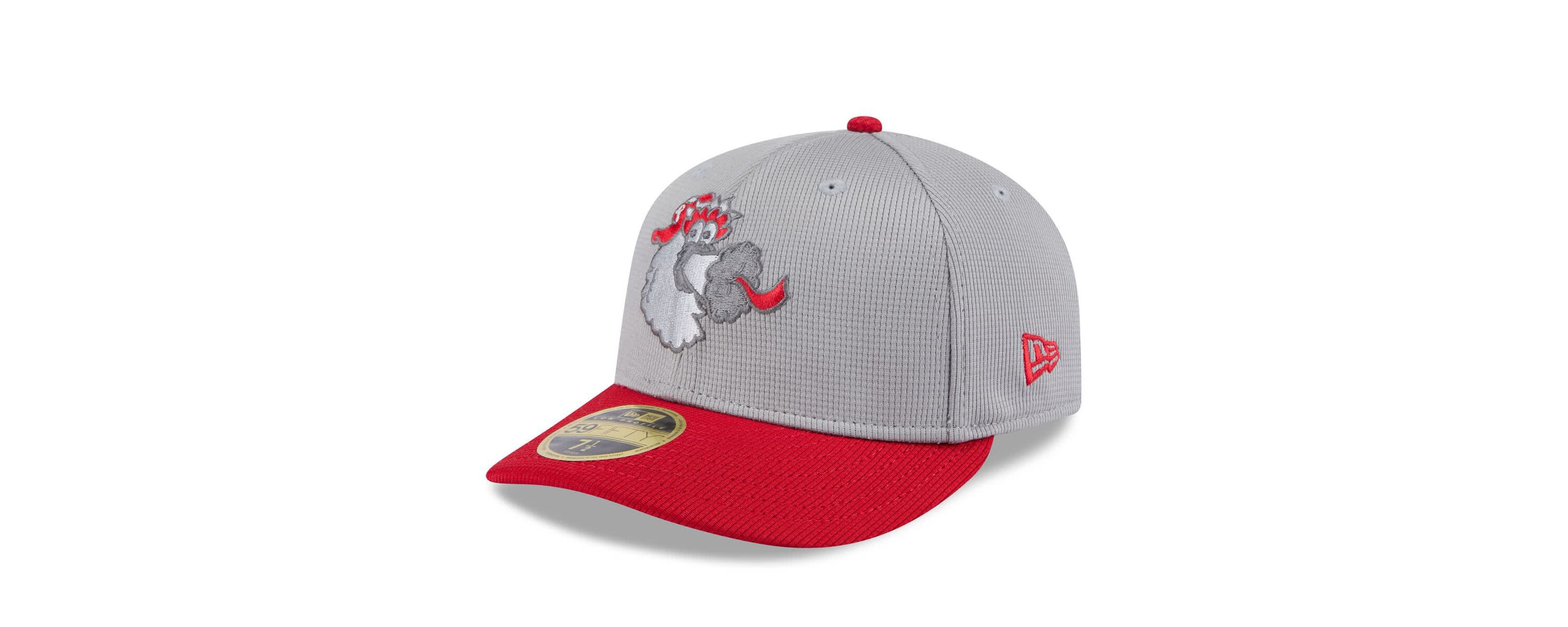 New Era MLB Gray/Red Philadelphia Phillies 2025 Batting Practice Low ...