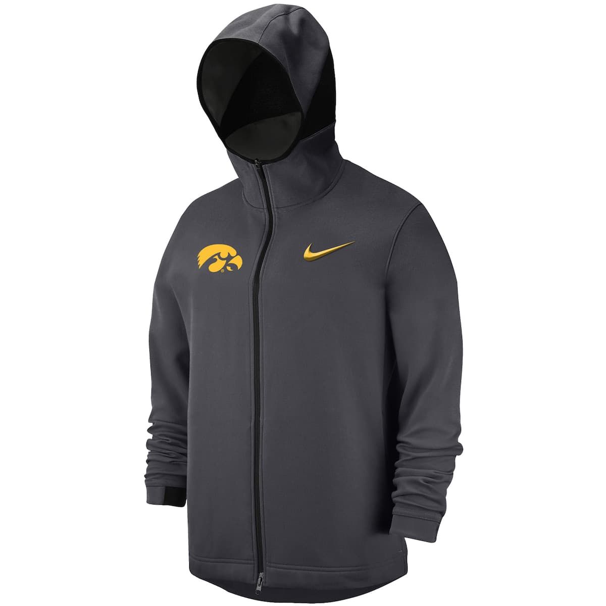 Nike® NCAA Nike Iowa Hawkeyes Tonal Showtime Full-Zip Hoodie | Belk