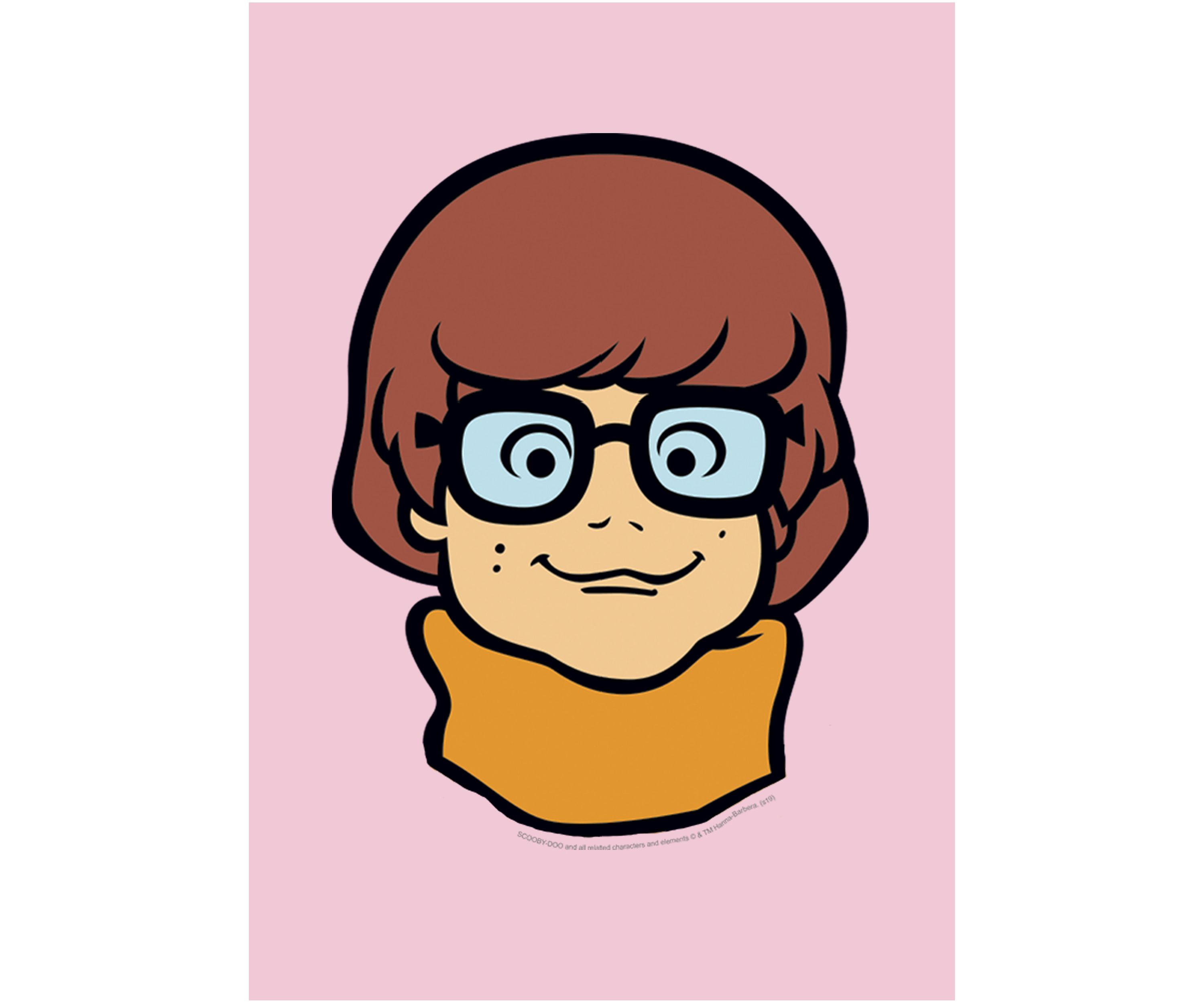Scooby Doo Girls 4-6x Velma Face Graphic T-Shirt | Belk