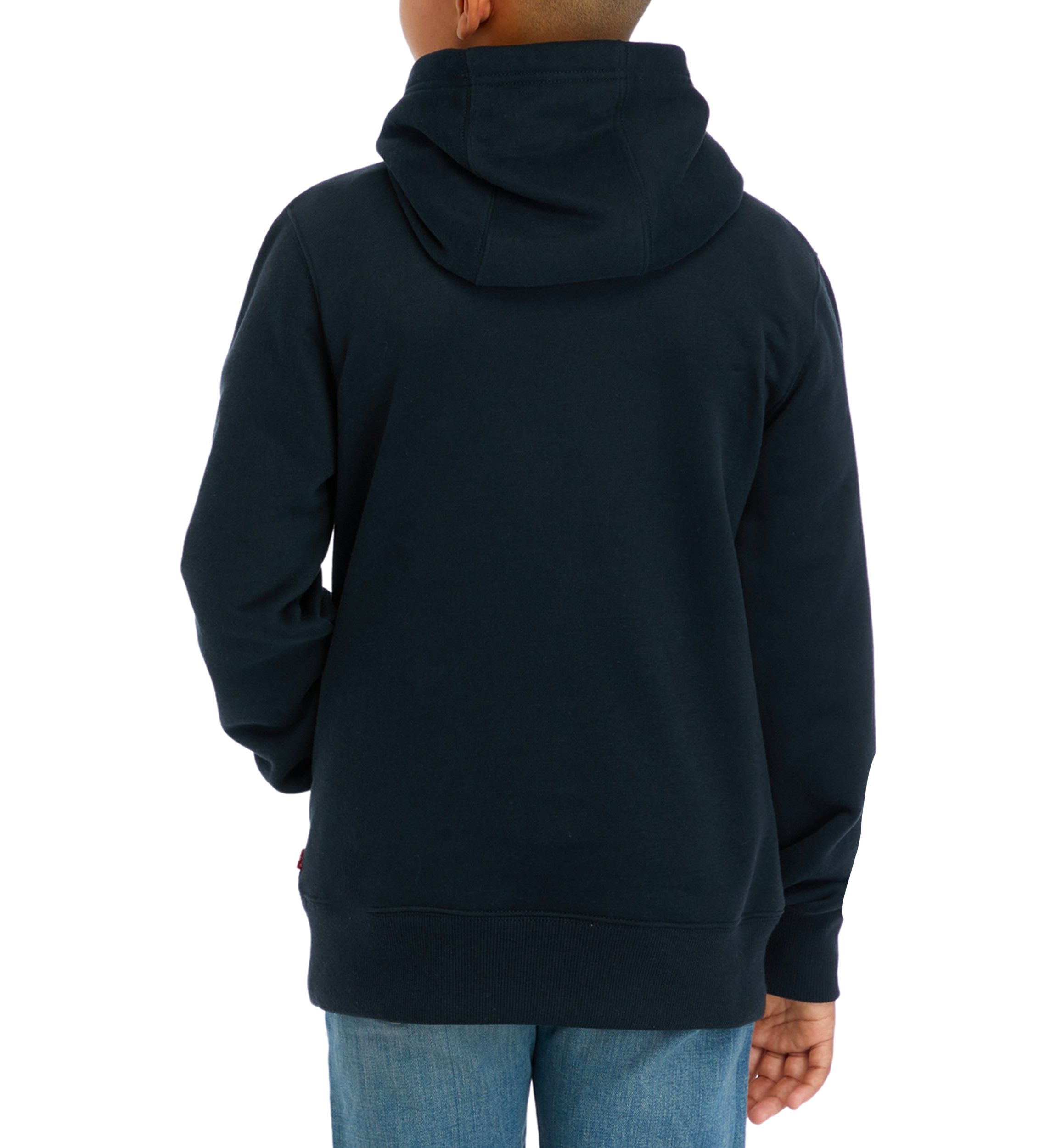 Levi's® Boys 4-7 Batwing Fill Logo Hoodie | Belk