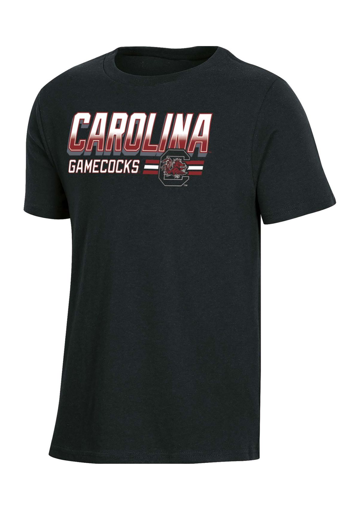 Champion® NCAA South Carolina Gamecocks Graphic T-Shirt | Belk