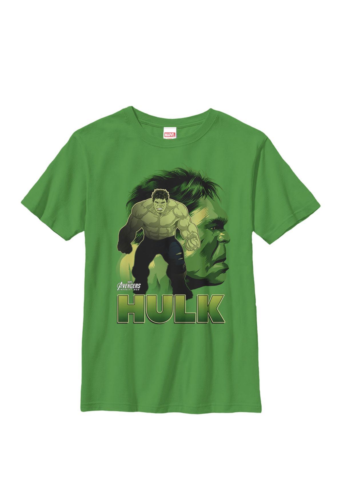 A Bugs Life Boys 8-20 Infinity War Hulk Big Head Profile Graphic T ...