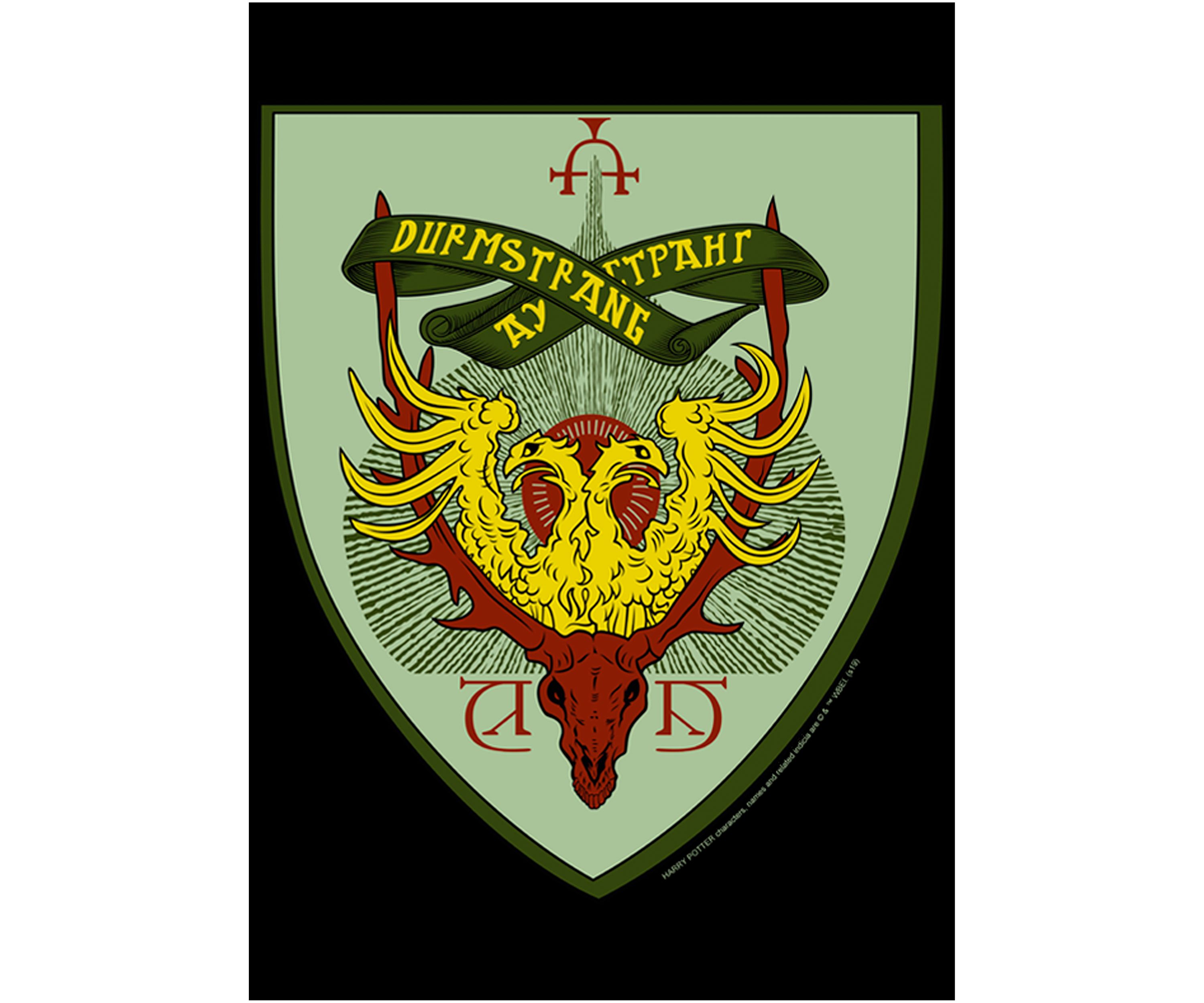 Harry Potter™ Boys 4-7 Durmstrang Crest Graphic T-Shirt | Belk