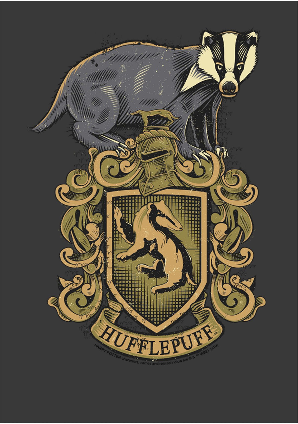 Harry Potter™ Boys 4-7 Hufflepuff House Crest Graphic T-Shirt | Belk