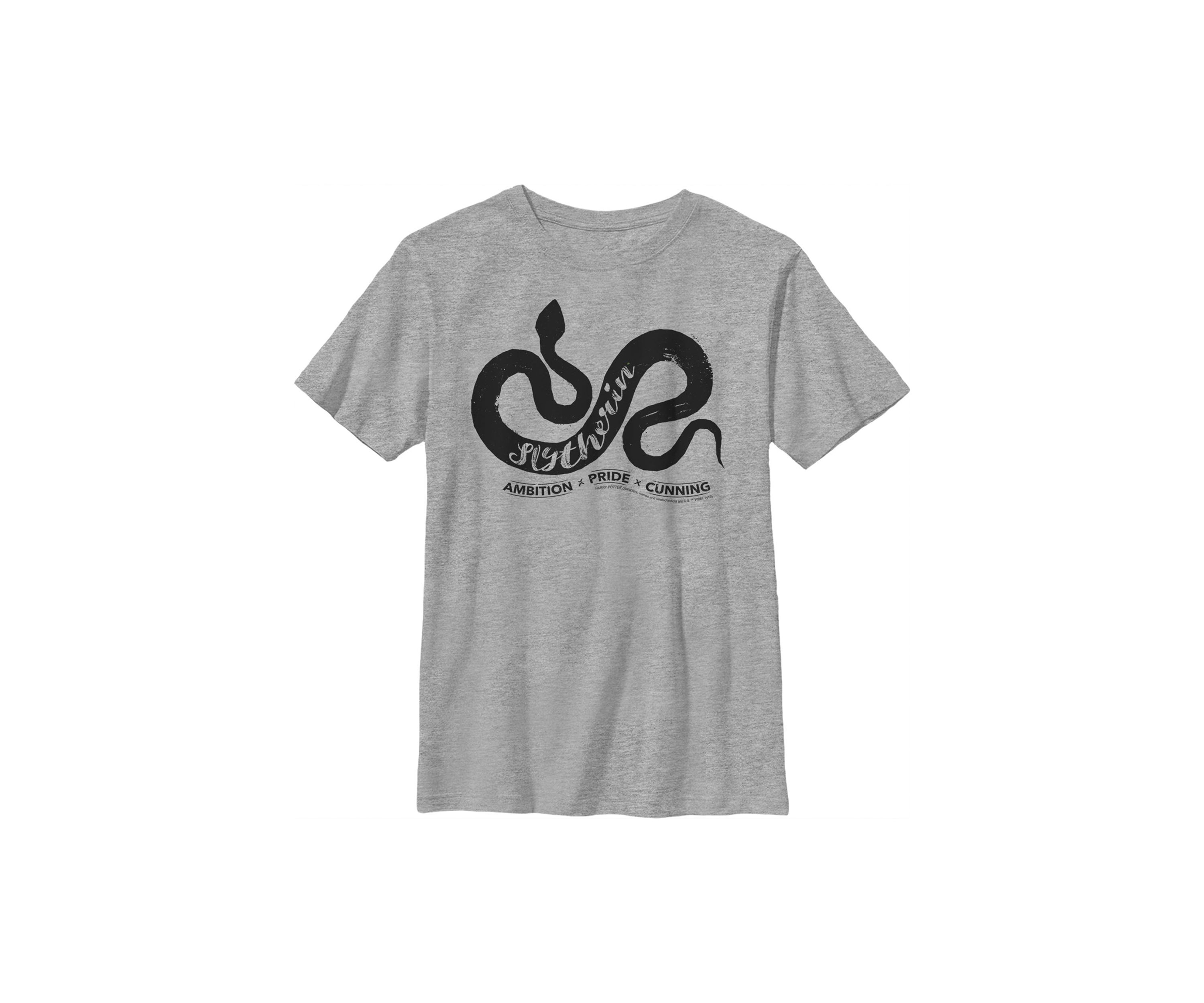 Harry Potter™ Boys 4-7 Ambition Pride Cunning Graphic T-Shirt | Belk