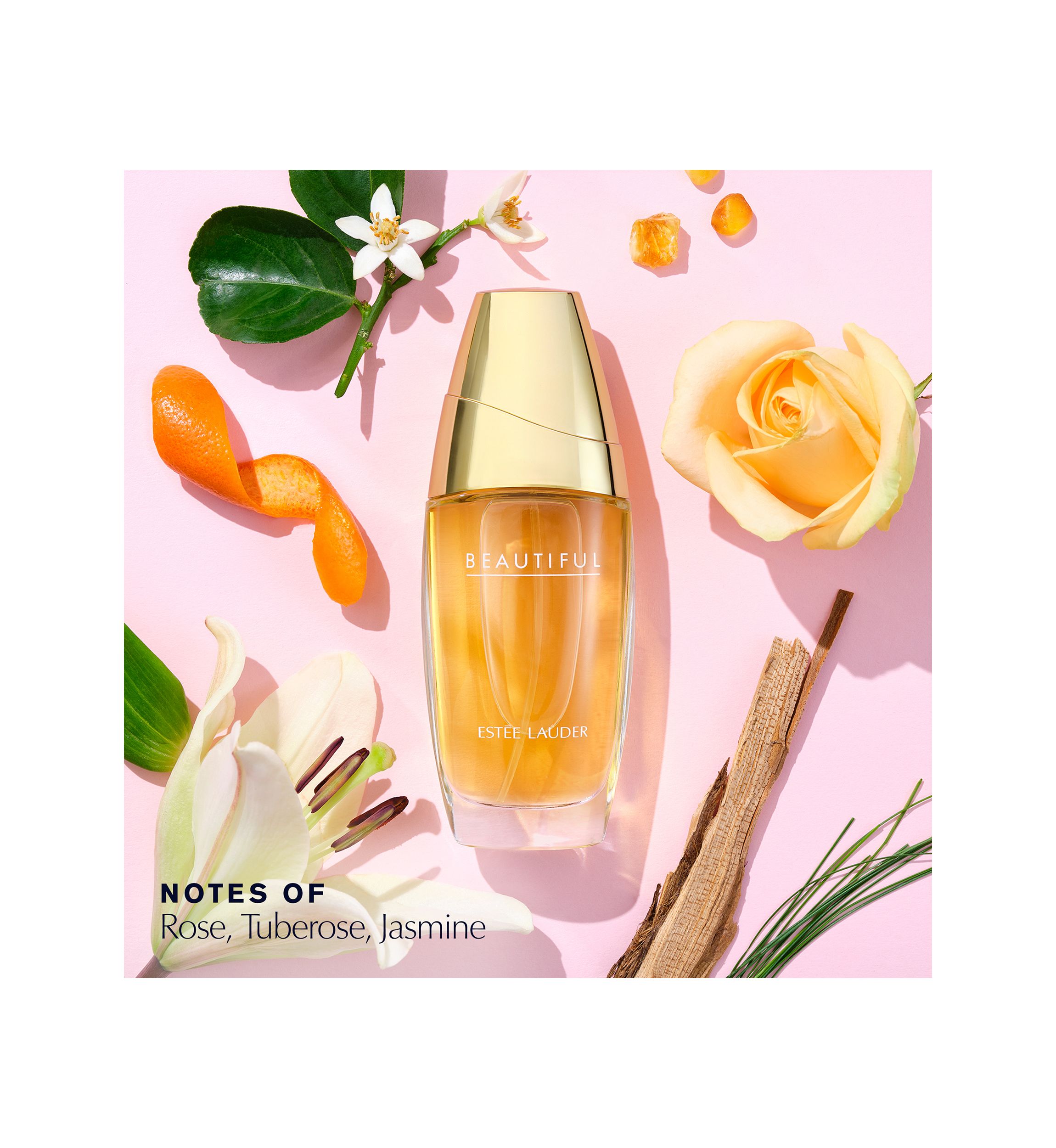 Estée Lauder Beautiful Luxury Collection Fragrance Gift Set - $192 ...