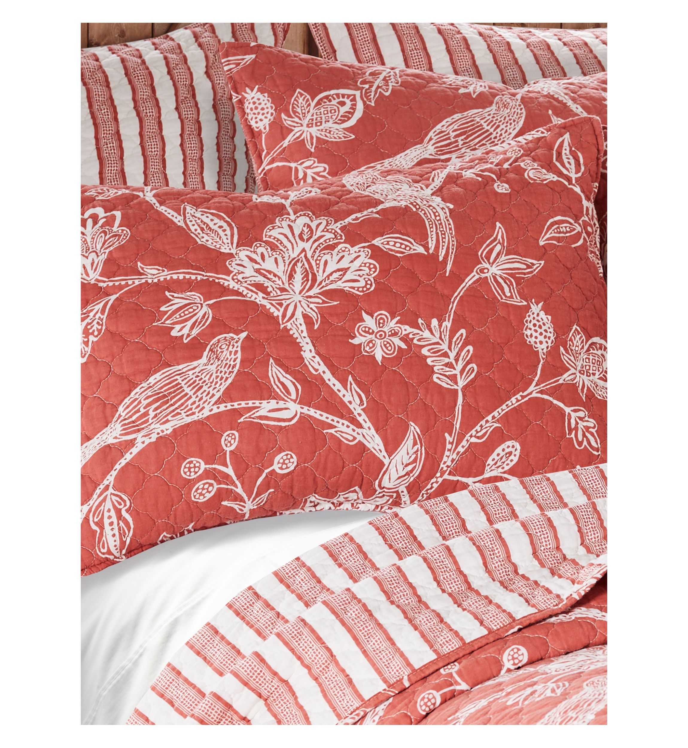 Levtex Home Tanzie Persimmon Quilt Set | Belk