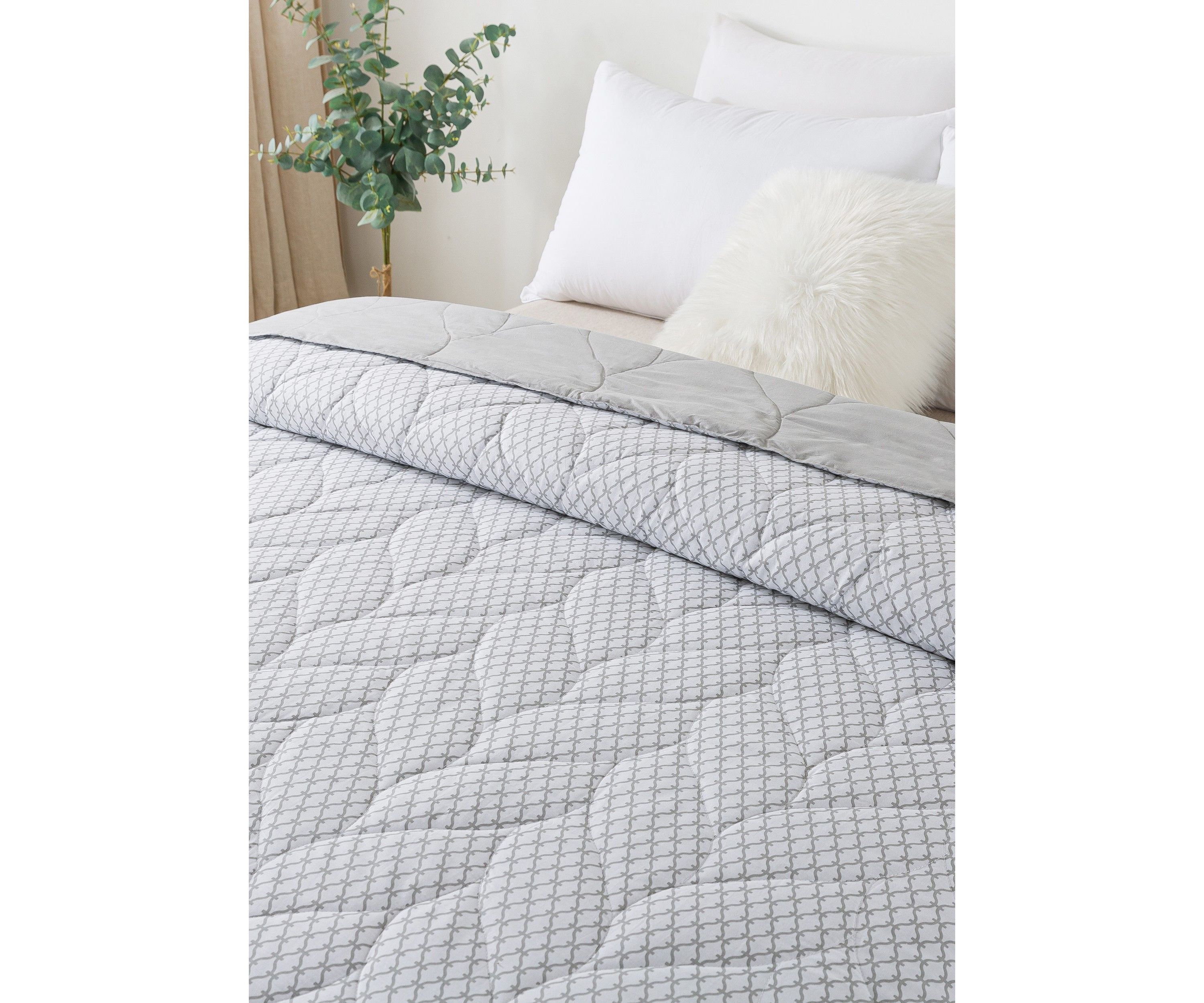 Waverly Antimicrobial Cotton Reversible Down Alternative Blanket | Belk