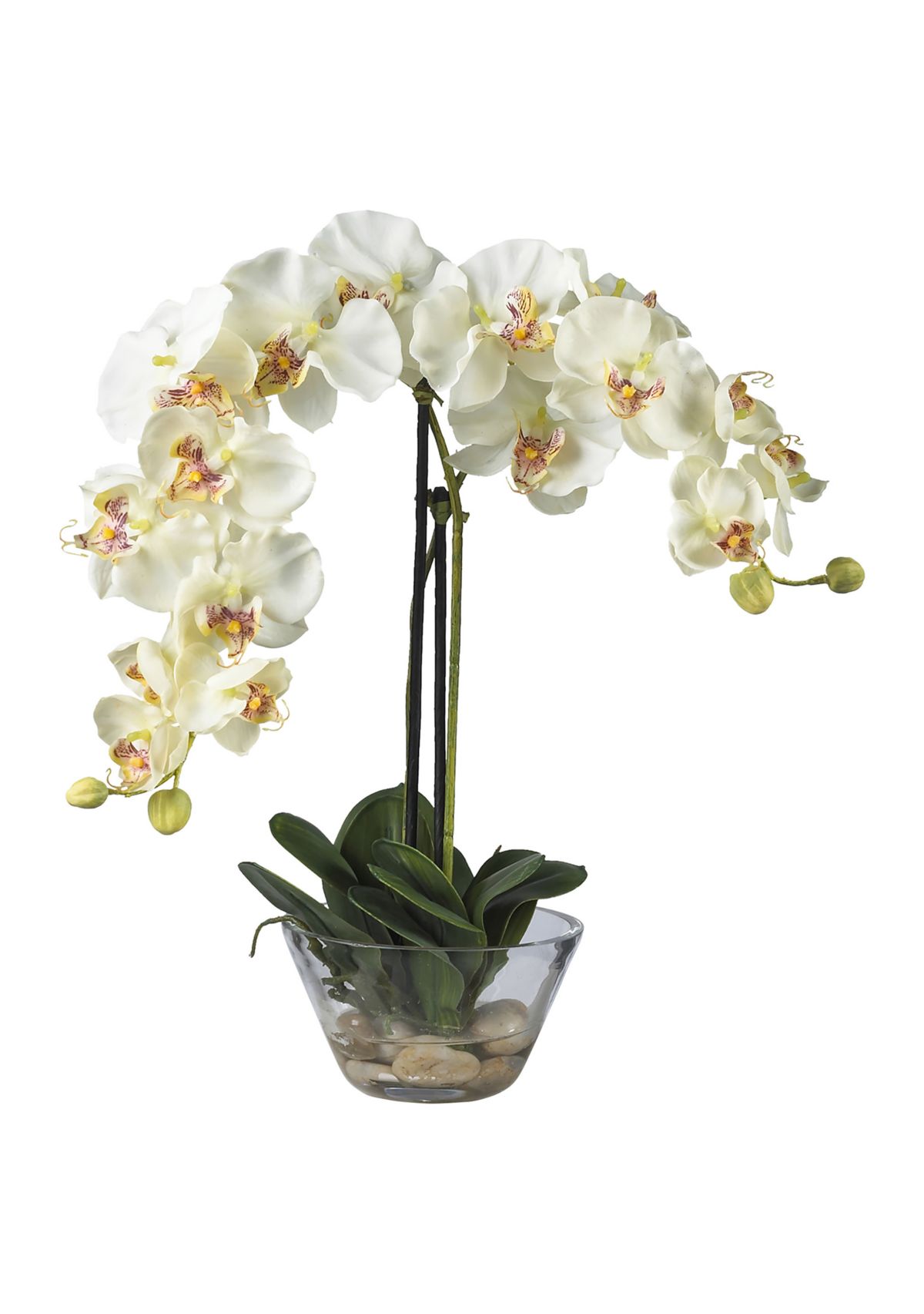 Nearly Natural Phalaenopsis with Glass Vase Silk Flower Arrangement | Belk