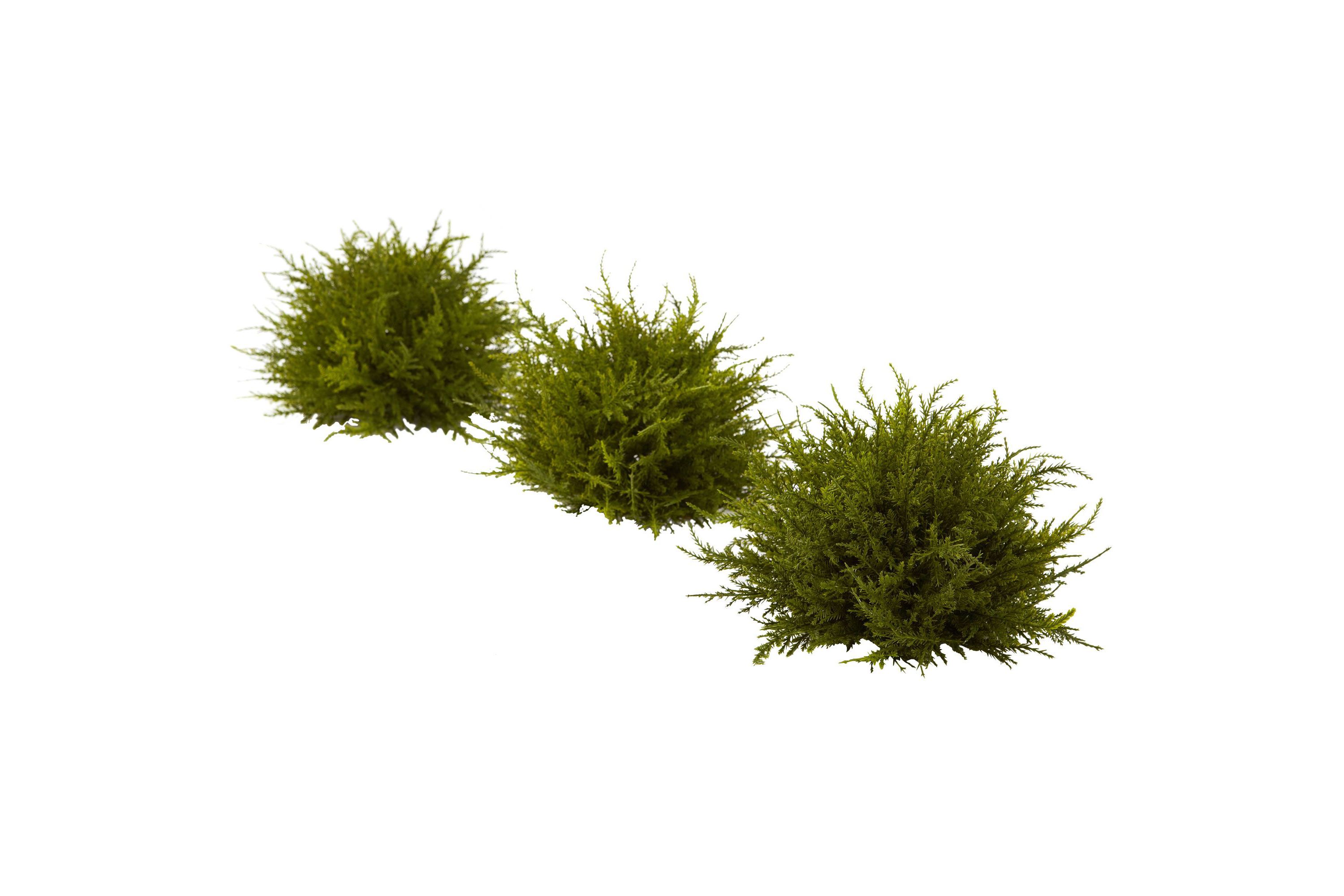 Nearly Natural 7.5-Inch Cedar Balls (Set of 3) | Belk
