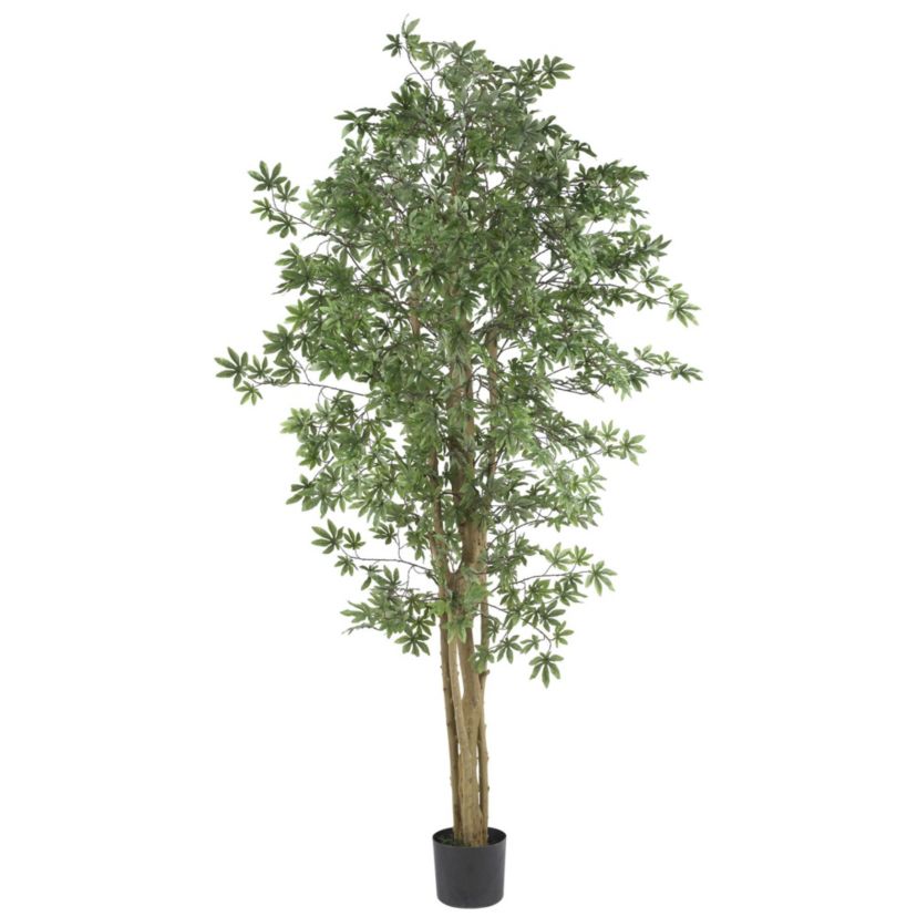 Nearly Natural 6' Japanese Maple Silk Tree | Belk