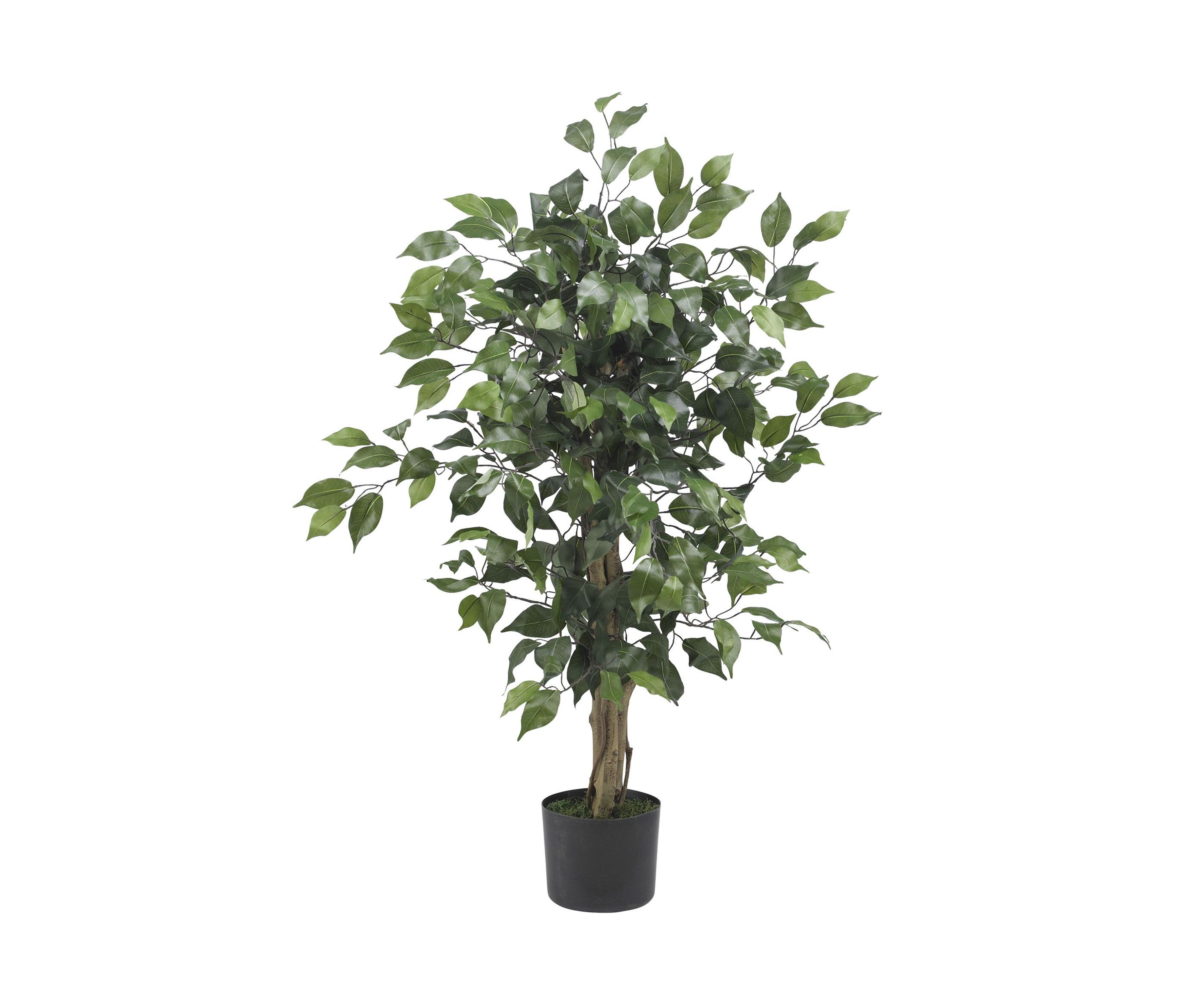 Nearly Natural 3-Foot Ficus Silk Tree | Belk