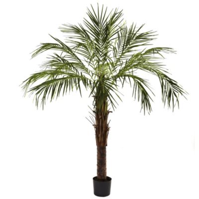 Nearly Natural 6-Foot Robellini Palm Tree | belk