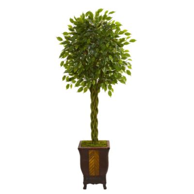 Nearly Natural 6-Foot Braided Ficus Artificial Tree in Decorative ...