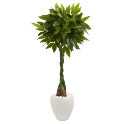 Nearly Natural 5-Foot Money Artificial Tree in White Oval Planter (Real ...