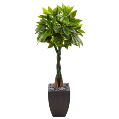 Nearly Natural 5-Foot Money Artificial Tree in Black Square Planter | Belk