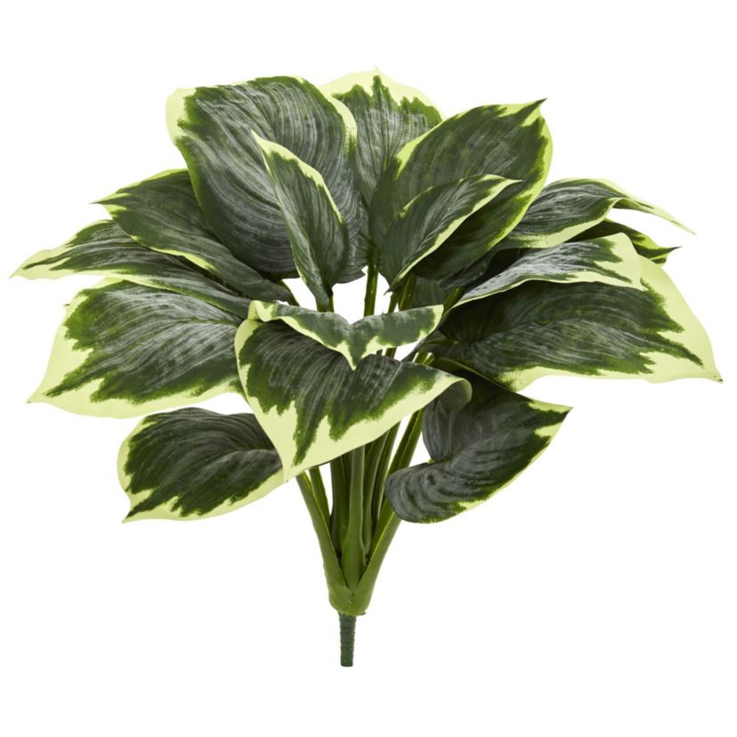 Nearly Natural Variegated Hosta Artificial Plant (Set of 6) | Belk