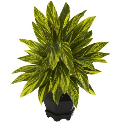 Nearly Natural Ginger Plant with Black Planter | belk