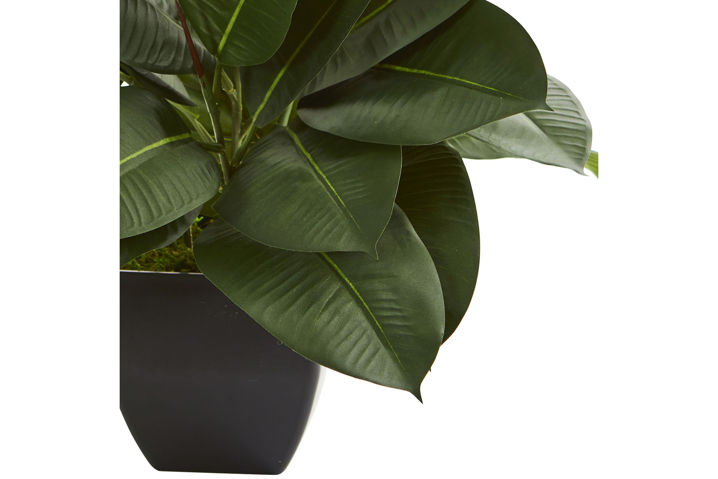 Nearly Natural Oak Ficus Artificial Plant | Belk