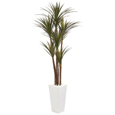 Nearly Natural 6.5-Foot Giant Yucca Artificial Tree in White Planter UV ...