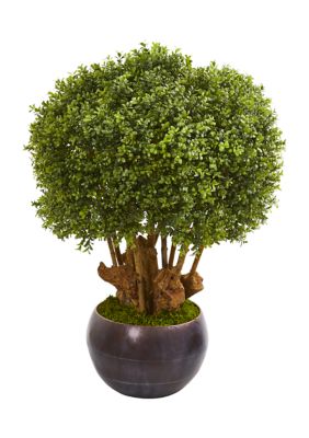 Nearly Natural Boxwood Topiary Tree Indoor/Outdoor | belk