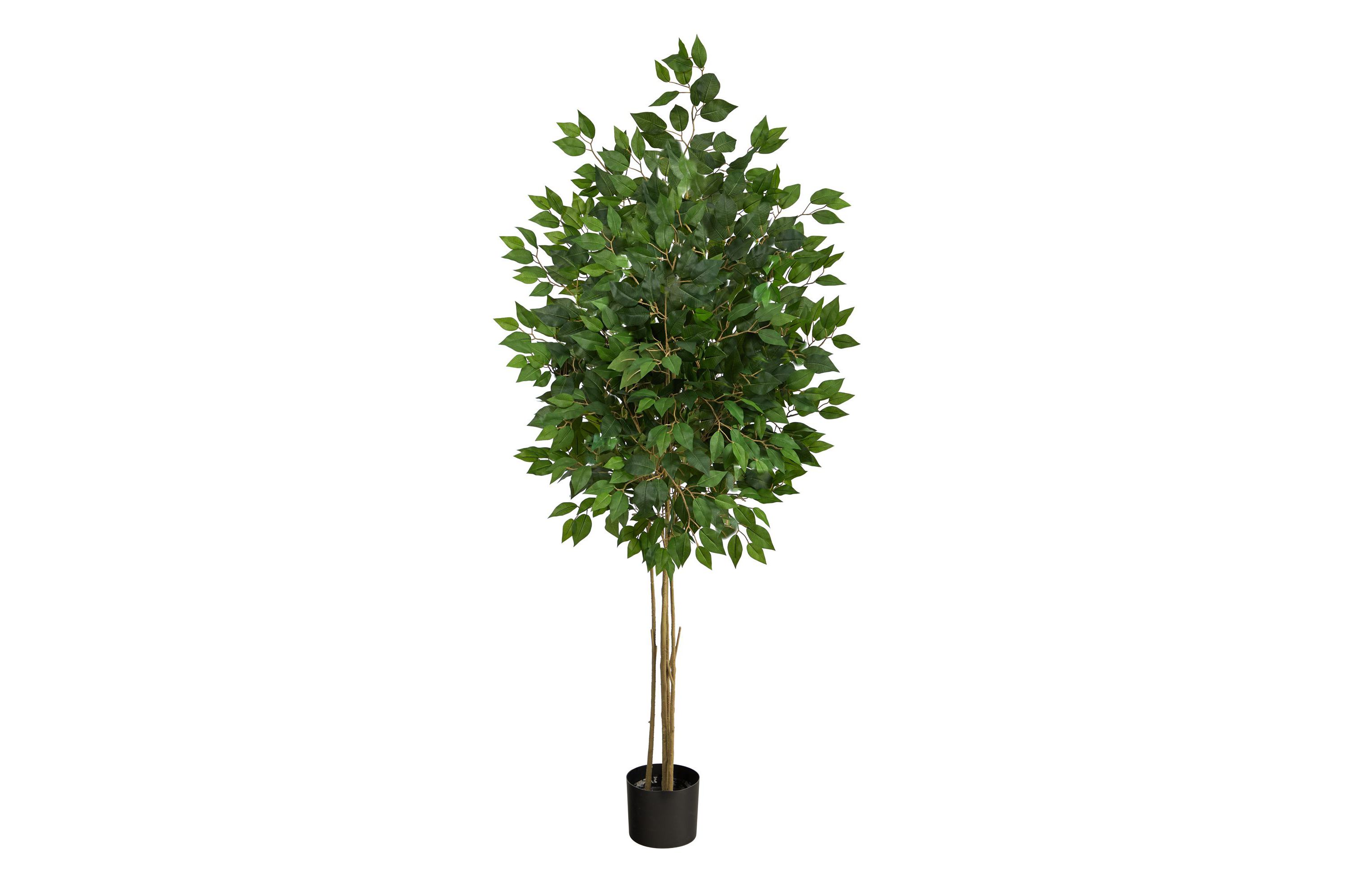 Nearly Natural 64-Inch Ficus Artificial Tree UV Resistant (Indoor ...
