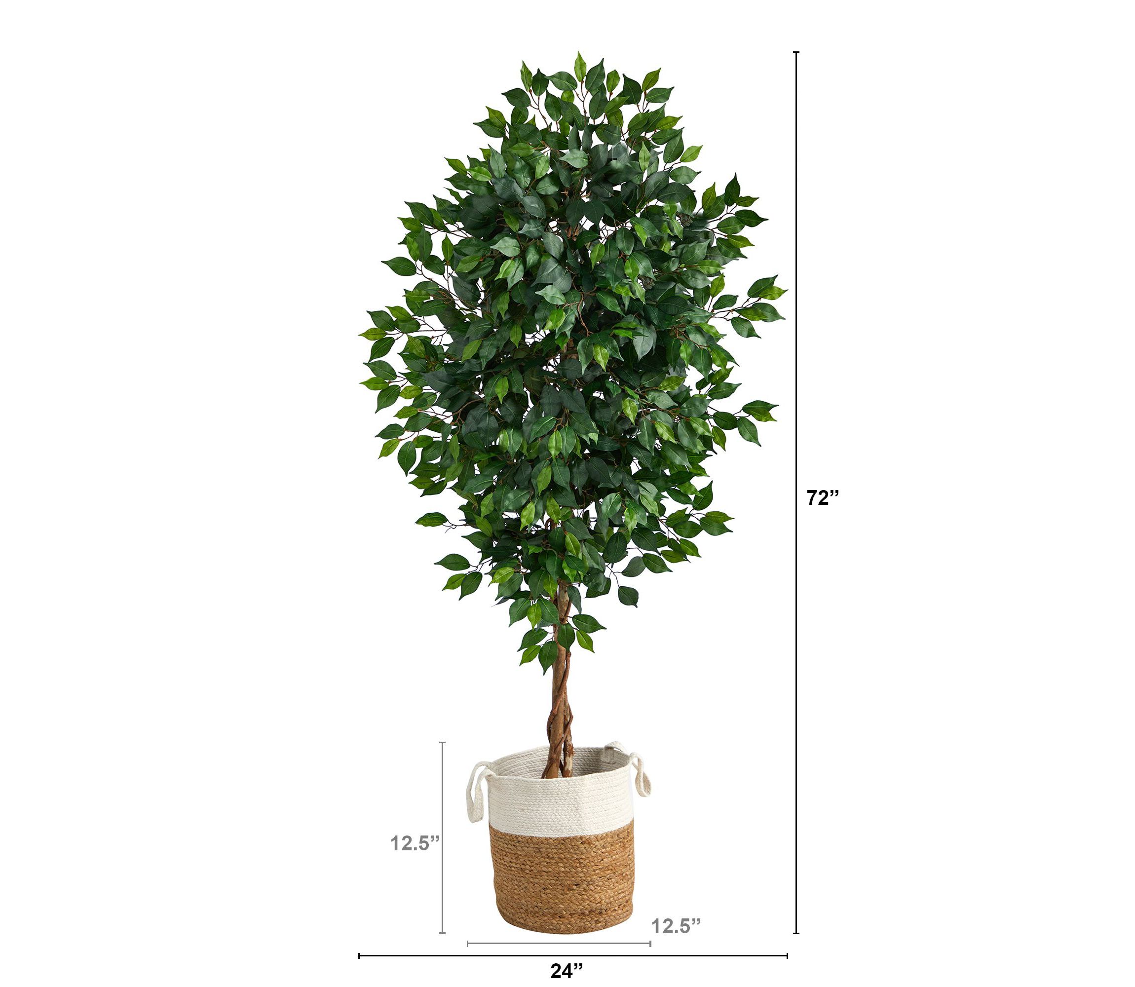 Nearly Natural 6-Foot Ficus Artificial Tree with Natural Trunk in ...