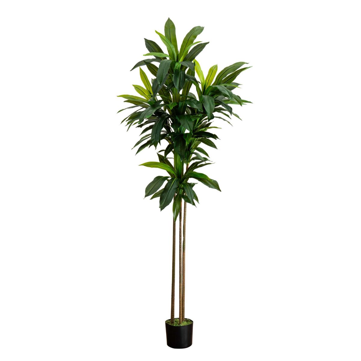 Nearly Natural 7ft. Artificial Dracaena Tree with Real Touch Leaves | Belk