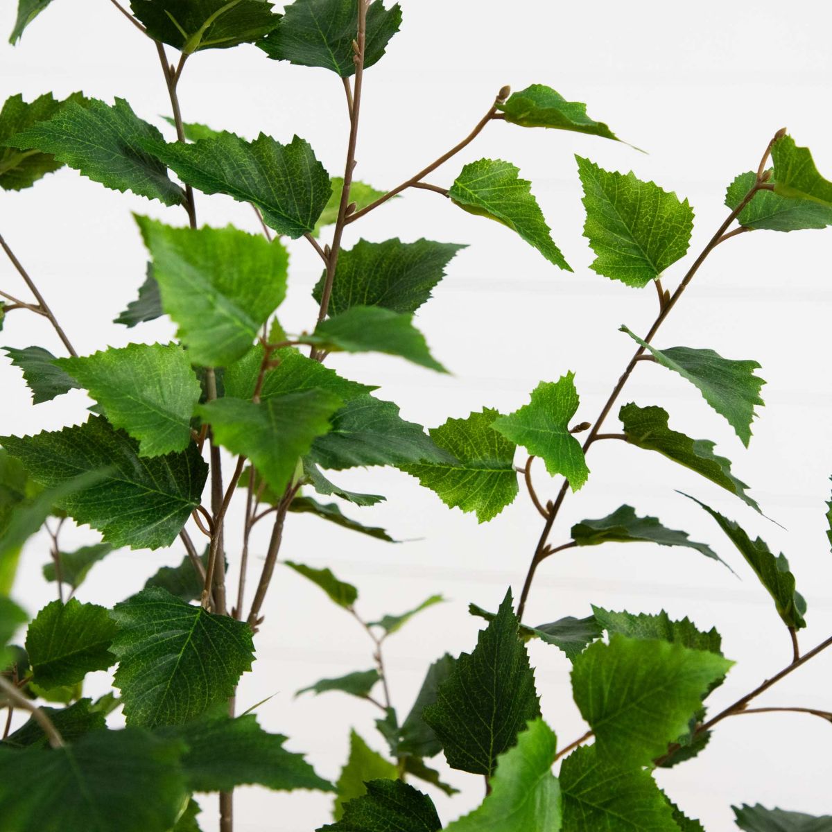 Nearly Natural 5ft. Artificial Birch Tree with Real Touch Leaves | Belk