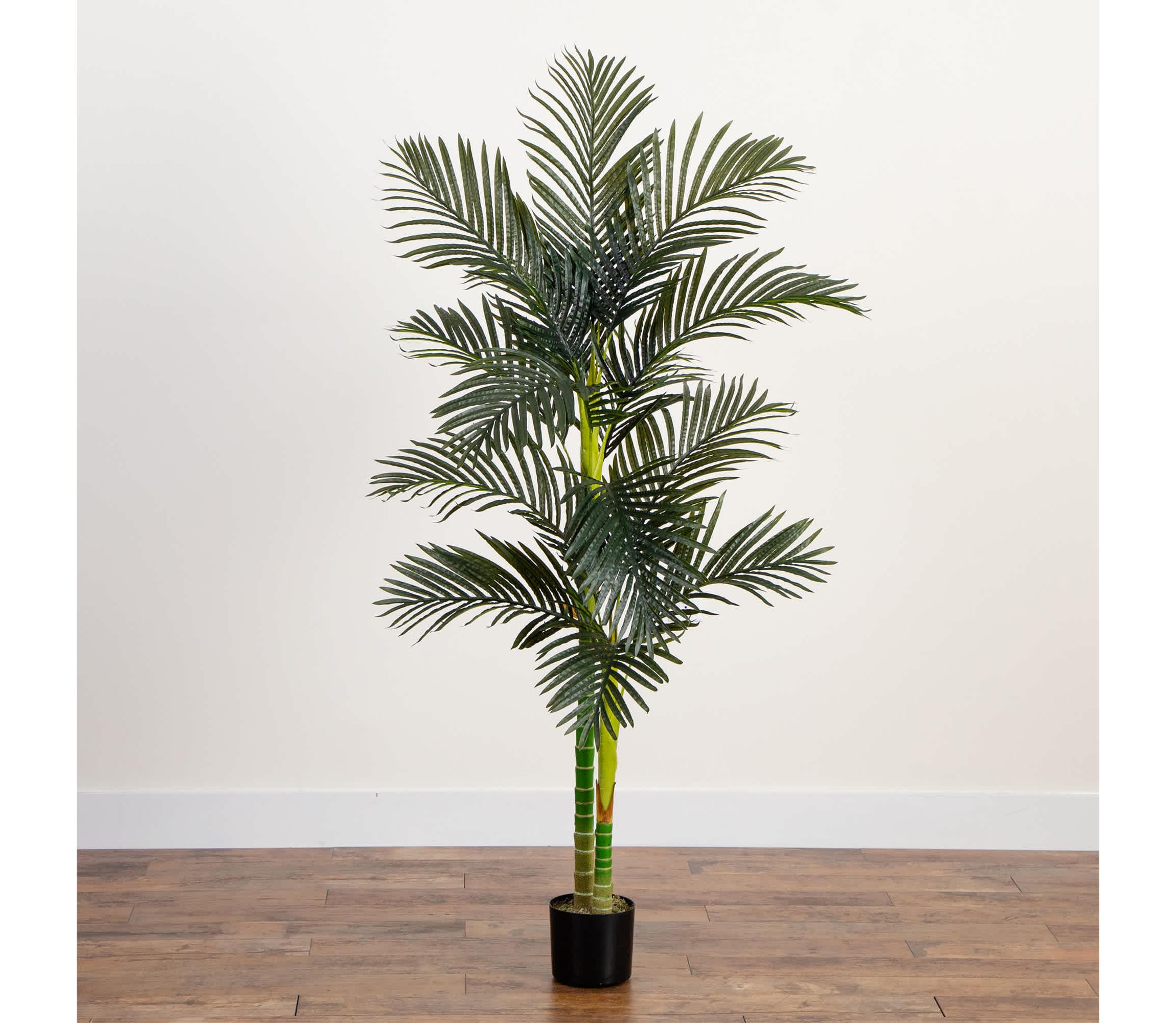 Nearly Natural 6-Foot Artificial Double Stalk Golden Cane Palm Tree | Belk