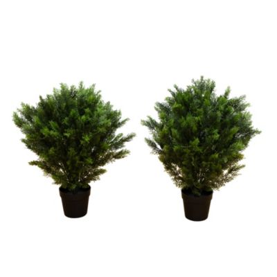 Nearly Natural 3-Foot Artificial Cedar Tree UV Resistant (Indoor ...