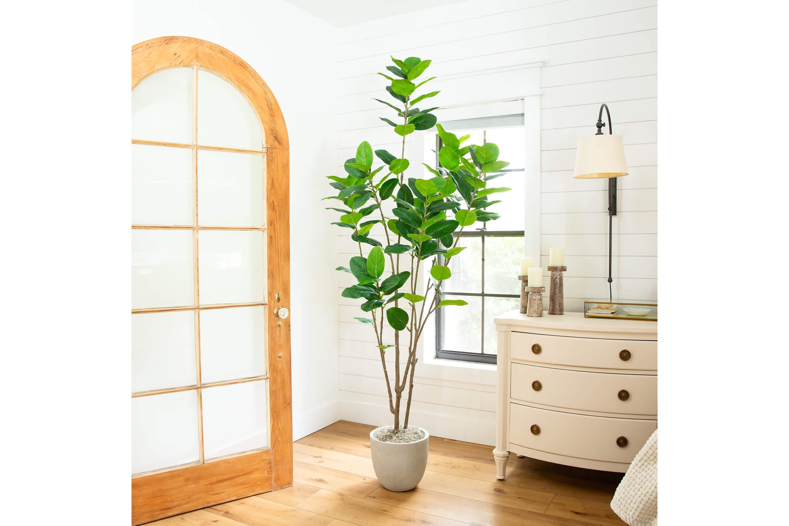 Nearly Natural 7-Foot Artificial Minimalist Audrey Ficus Tree | Belk