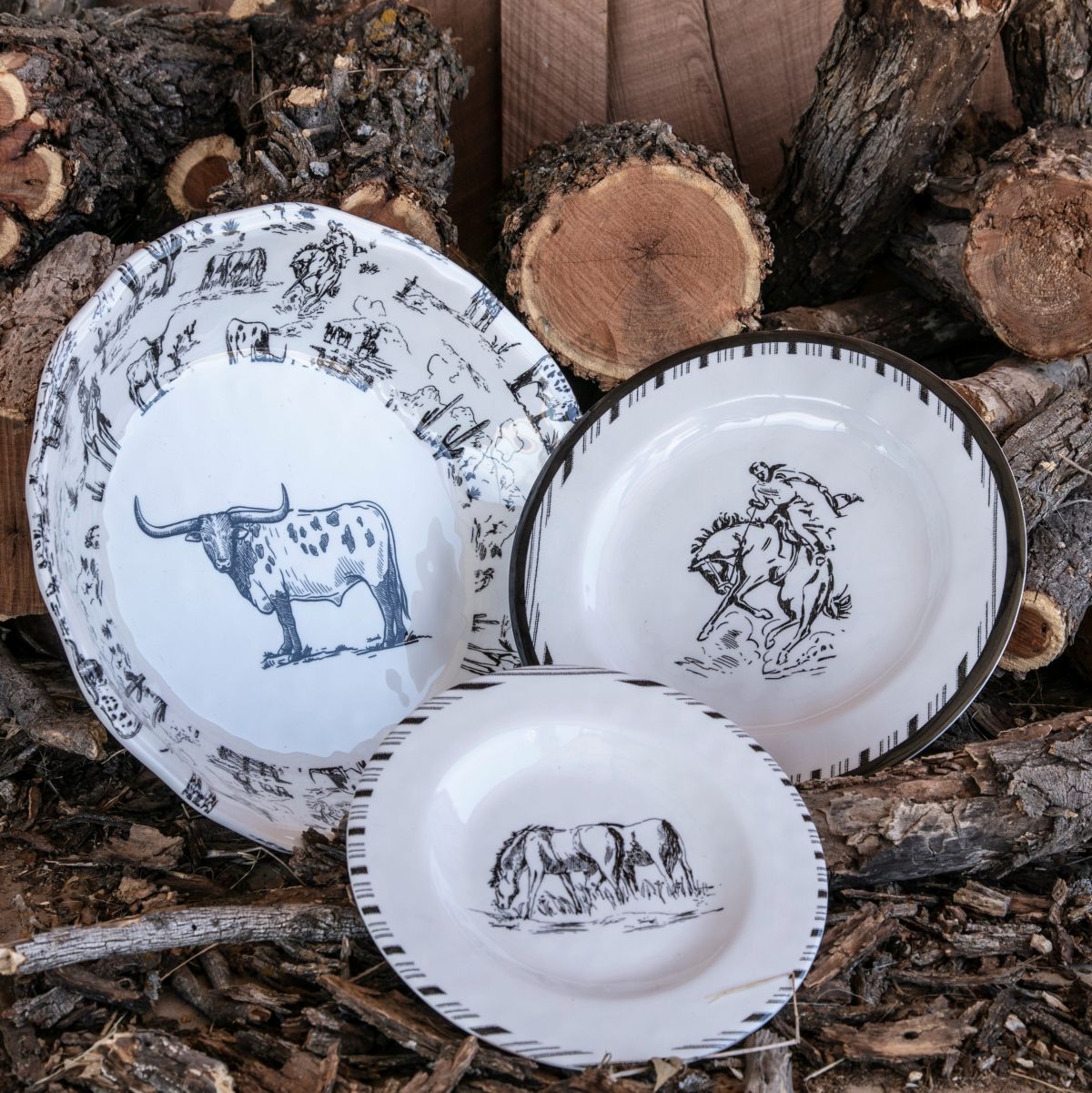 Paseo Road by HiEnd Accents Ranch Life Melamine Dinnerware Set | Belk