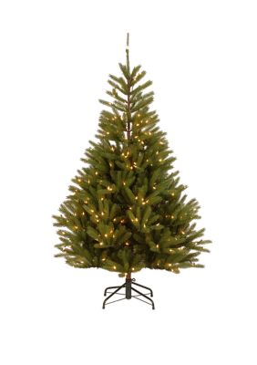 National Tree Company® 7.5 Foot Topeka Spruce Tree with Clear Lights | belk
