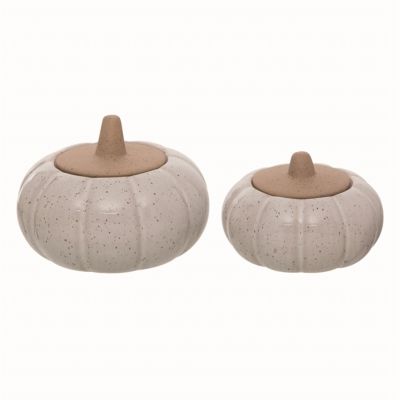 Transpac Transpac Terracotta 4.75 in. Off-White Harvest Pumpkin Jar ...