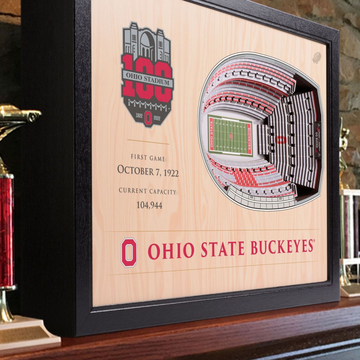 YouTheFan YouTheFan NCAA Ohio State Buckeyes 100th 25-Layer ...