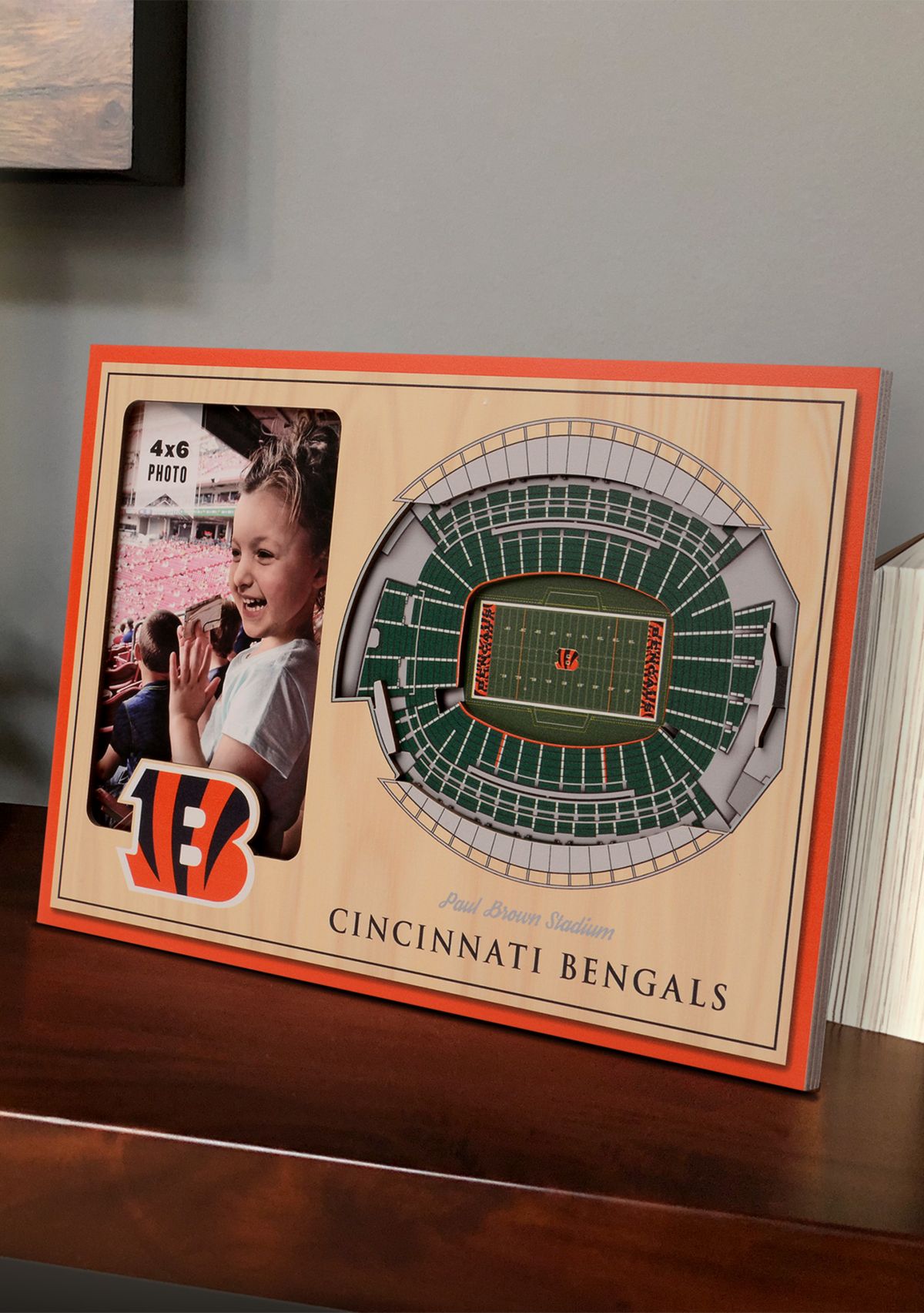 YouTheFan YouTheFan NFL Cincinnati Bengals 3D StadiumView Picture Frame ...
