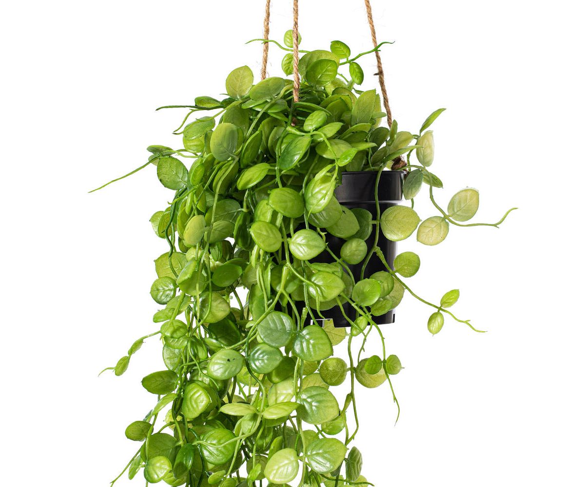 Vickerman Vickerman 29" Artificial Green Mini Leaf Ivy in Hanging Pot ...