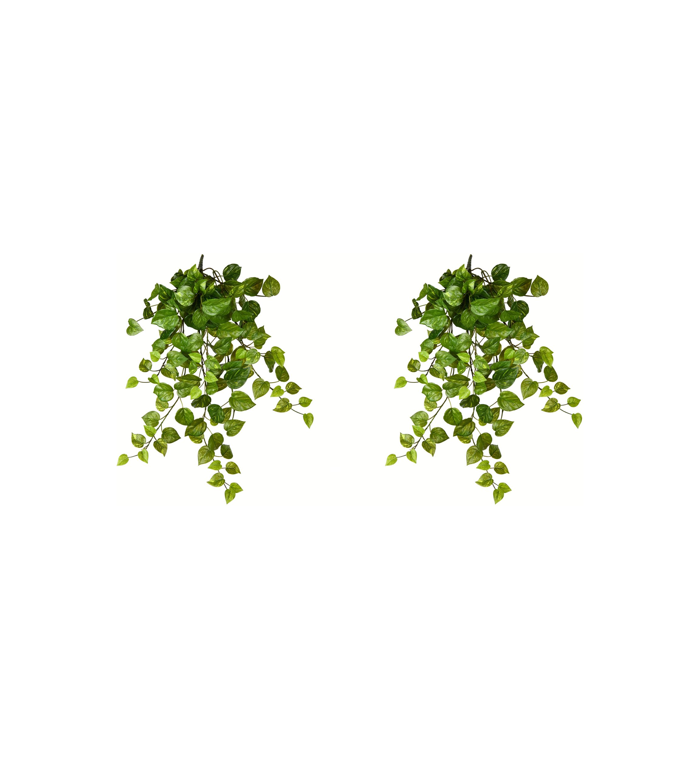 Vickerman Pathos Hanging Bush - Set of 2 | Belk