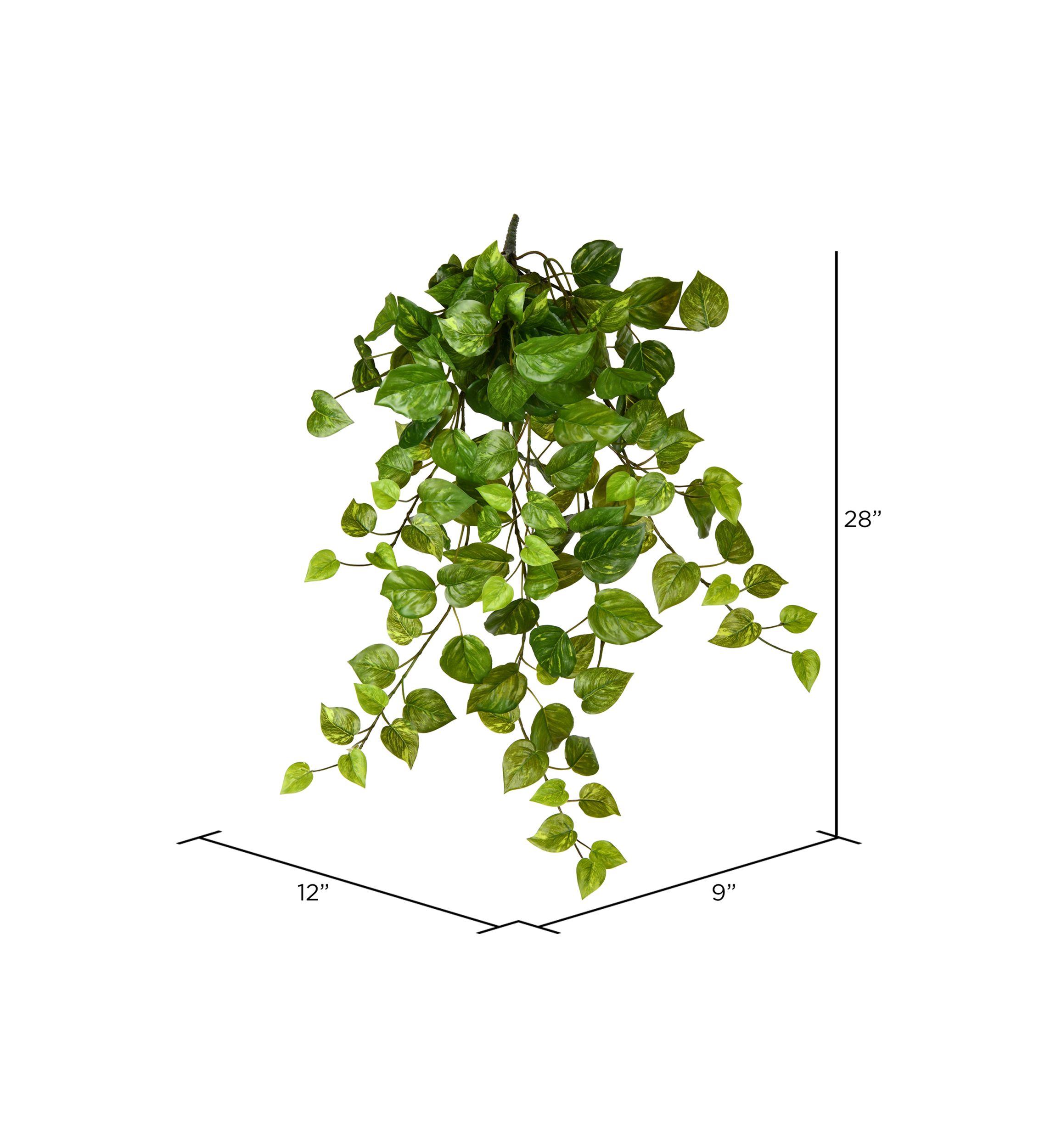 Vickerman Pathos Hanging Bush - Set of 2 | Belk
