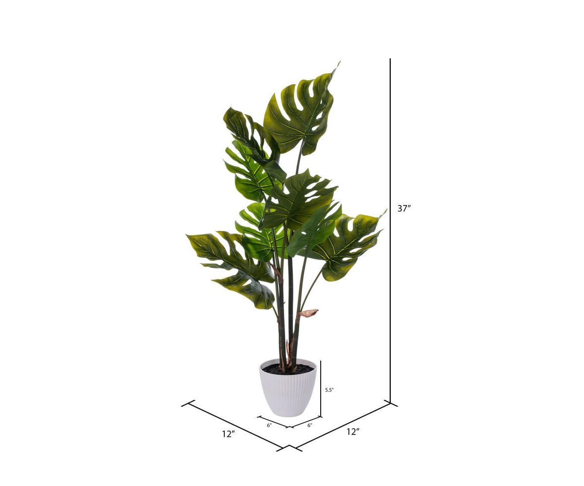 Vickerman Vickerman 37" Green Monstera Plant x8 in White Pot. | Belk