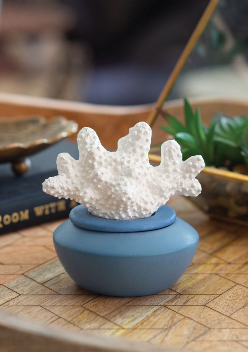 Airome Coral Porcelain Diffuser | Belk