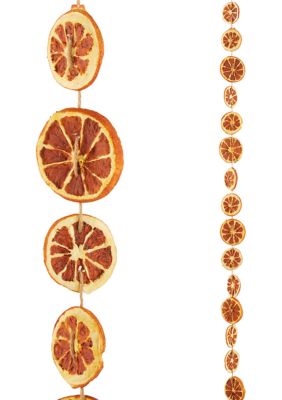 RAZ Imports Inc. Orange Slice Garland | belk