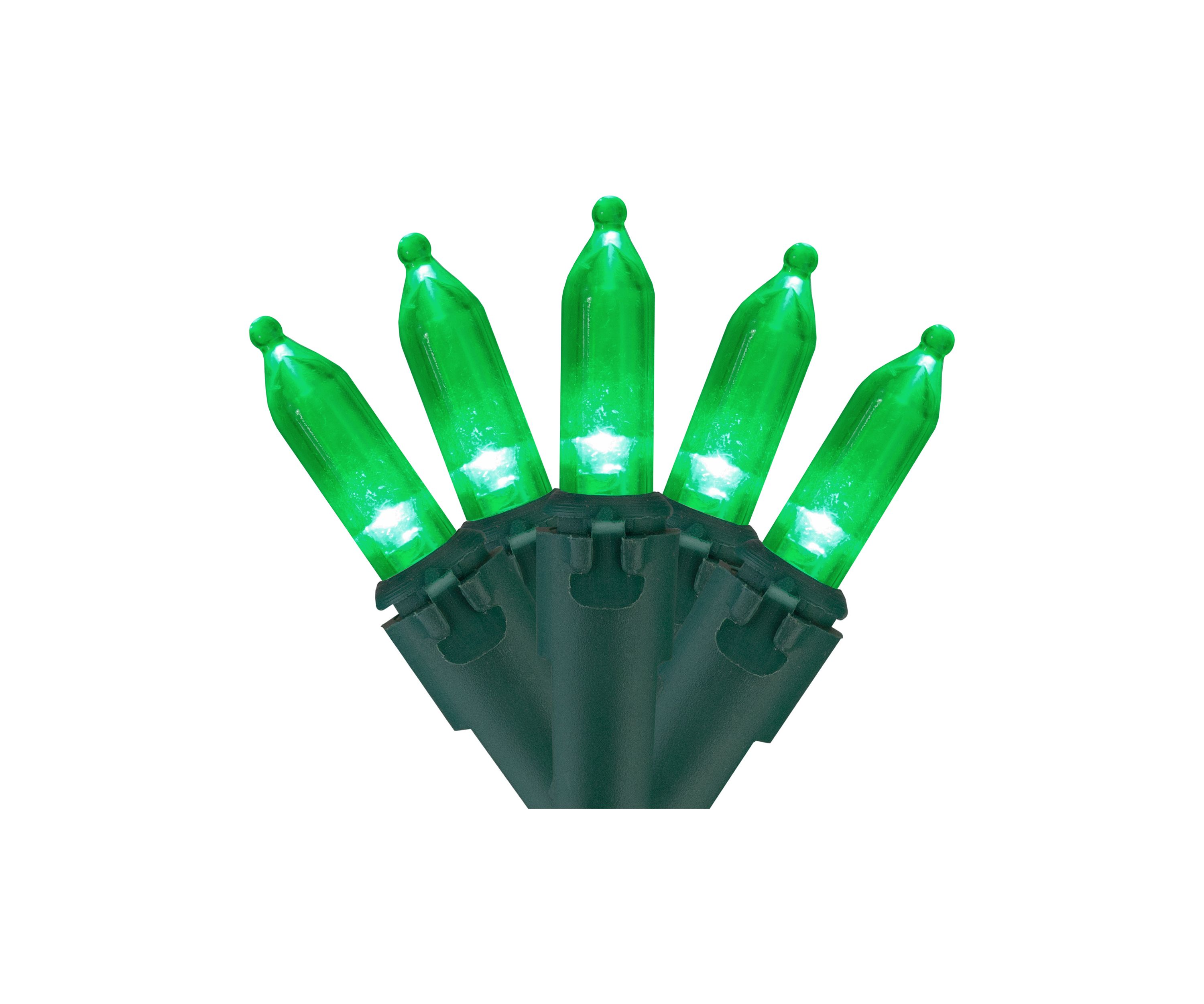 Northlight 100 Green LED Mini Christmas Lights 33 ft Green Wire | Belk